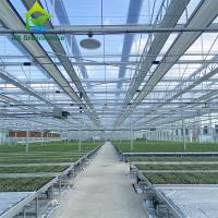China Venlo Winter Glass Tomato Greenhouse for sale