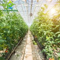 China ODM Industrial Agricultural Glass Greenhouse for sale