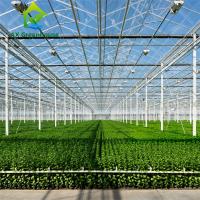 China ODM Industrial Agricultural Glass Greenhouse for sale