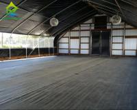 China Commercial Backyard Light Dep Greenhouse Plastic Film Hot Galvanized Steel Greenhouse for sale