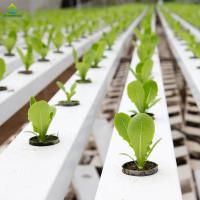 China Automatic Fertilizer Water Integrated System For Modern Agriculture for sale