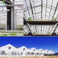 China Indoor Greenhouse Monitoring System 0-40000PPM Intelligent Weather Controller for sale