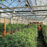China Blackout Flowerhouse Conservatory Greenhouse Agriculture 10x20 Light Dep Greenhouse for sale