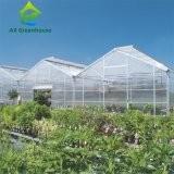 China 51000 PPM HOSMART Greenhouse Monitoring System Climate Controller for sale