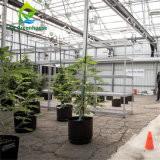 China AC 380V Water And Fertilizer Integration System Hydroponic Fertilizer Machine for sale
