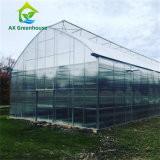 China Three In One Soil Moisture Sensor Greenhouse Temperature And Humidity Monitor for sale