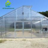China Commercial Single Span Venlo Type PC Sheet Greenhouse Impact Resistant for sale