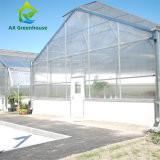 China Commercial Single Span Venlo Type PC Sheet Greenhouse Impact Resistant for sale