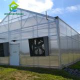China Commercial Single Span Venlo Type PC Sheet Greenhouse Impact Resistant for sale