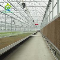 China Vertical Farming Clear Polycarbonate Greenhouse 3m To 7m Height for sale