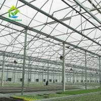 China Vertical Farming Clear Polycarbonate Greenhouse 3m To 7m Height for sale