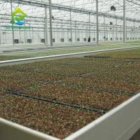 China Vertical Farming Clear Polycarbonate Greenhouse 3m To 7m Height for sale