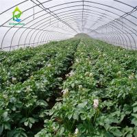 China ODM Double Deck Skeleton Passive Solar Greenhouses For Snow Areas for sale