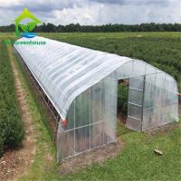 China Horticulture Single-span Commercial Agricultural Poly Tunnel Greenhouse For Lettuce for sale