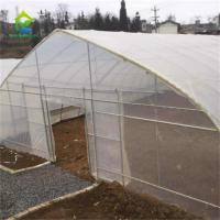 China Tropical Film Plastic Poly Tunnel Agricultural Greenhouses Single-span For Tomato for sale