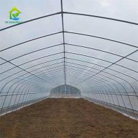 China Serre Gothique 240m2 Poly Tunnel Greenhouse Economical Gothic Arch Greenhouse for sale