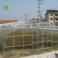 China Serre Gothique 240m2 Poly Tunnel Greenhouse Economical Gothic Arch Greenhouse for sale