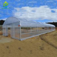 China 8x30m Tomato Poly Tunnel Greenhouse 150-200micron Plastic Film Tomato Greenhouses for sale