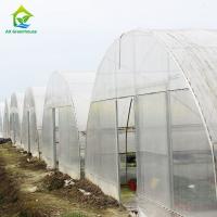 China 8x30m Tomato Poly Tunnel Greenhouse 150-200micron Plastic Film Tomato Greenhouses for sale