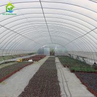 China 8x30m Tomato Poly Tunnel Greenhouse 150-200micron Plastic Film Tomato Greenhouses for sale