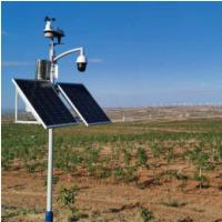 China Greenhouse CO2 Sensor Monitoring System Intelligent Carbon Dioxide Sensor for sale