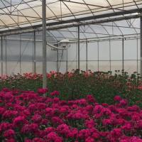 China Indoor Greenhouse Monitoring System 0-40000PPM Intelligent Weather Controller for sale