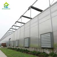 China Plants Cultivation Single Span Polycarbonate PC Sheet Greenhouse with Stable Structure and Easy Assembly for sale