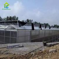 China OEM Flowers Polycarbonate Sheet Greenhouse Transparent Tropical Fruit Greenhouse for sale