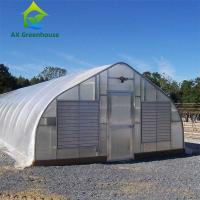 China Single Span Double Layer 8mm PC Sheet Greenhouse Venlo 0.5KN/M2 Wind Load for sale