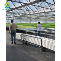 China 5.8m Length Commercial Aquaponics System Soilless Culture Fish And Plant System for sale