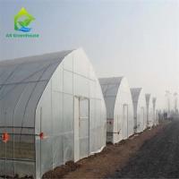 China 26ft Width Single Span Pipe Framed Greenhouse Anti UV Film High Tunnel Greenhouse for sale