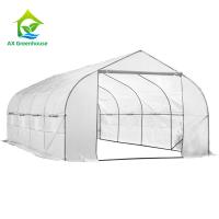 China Plastic PE Film Wind Resistant Poly Tunnel Tomato Greenhouse For Sale for sale