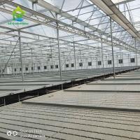 China Hydroponic Flood Grow Table Ebb And Flow Rolling Benches High Ground Utilization for sale