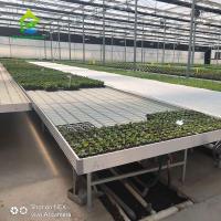 China Adjustable Greenhouse Rolling Benches 4x8 Ebb And Flow Table for sale