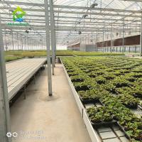 China Adjustable Greenhouse Rolling Benches 4x8 Ebb And Flow Table for sale