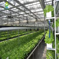 China 90 Sites 10 Pipe Soilless Hydroponic System for sale