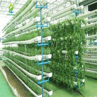 China 90 Sites 10 Pipe Soilless Hydroponic System for sale