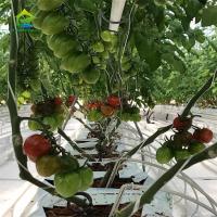 China Lettuce Soilless Cultivation Equipment for sale