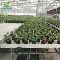 China Hydroponic Flood Grow Table Ebb And Flow Rolling Benches High Ground Utilization for sale