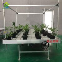 China Hot Galvanized Greenhouse Rolling Benches Earthquake Proof Ebb And Flood Benches for sale