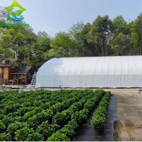 China 1m-12m Width Greenhouse Plastic Film for sale