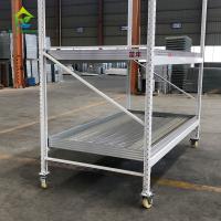 China Multi Layer Powder Coating Greenhouse Racks Hydroponic Ebb And Flow Tables for sale