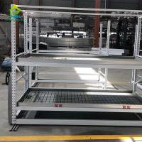 China Multi Layer Powder Coating Greenhouse Racks Hydroponic Ebb And Flow Tables for sale