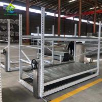 China Modern 2 Tier 4X8Ft Mobile Vertical Grow Racks Dripping System for sale