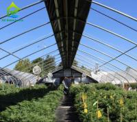 China Auto External Blackout Greenhouse Light Dep Greenhouse White-Black Film Greenhouse for sale
