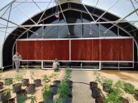 China Customized Cannabis Light Dep Solutions Electric Film Roller Blackout Greenhouse for sale