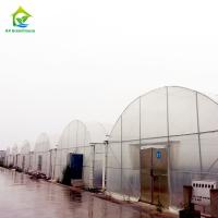 China 10-100m Length Broccoli Polytunnel Foil Greenhouse With Metal Frame for sale