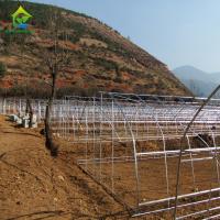China 10-100m Length Broccoli Polytunnel Foil Greenhouse With Metal Frame for sale