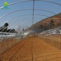 China 10-100m Length Broccoli Polytunnel Foil Greenhouse With Metal Frame for sale