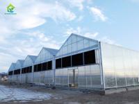 China Hot Galvanized Steel Commercial Light Deprivation Greenhouse for Hemp Cultivation for sale